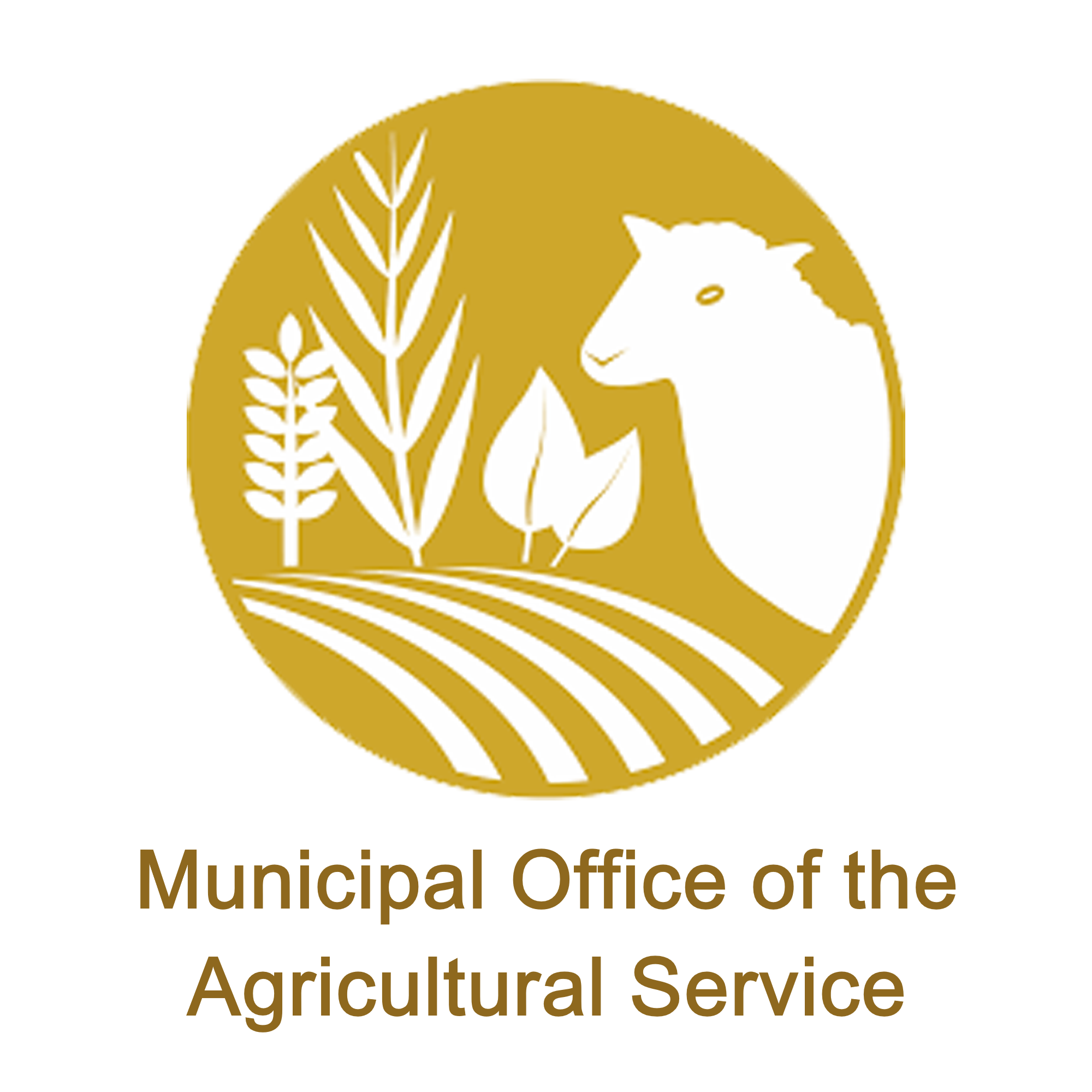 Home - The Official Website of Municipality of Pudtol